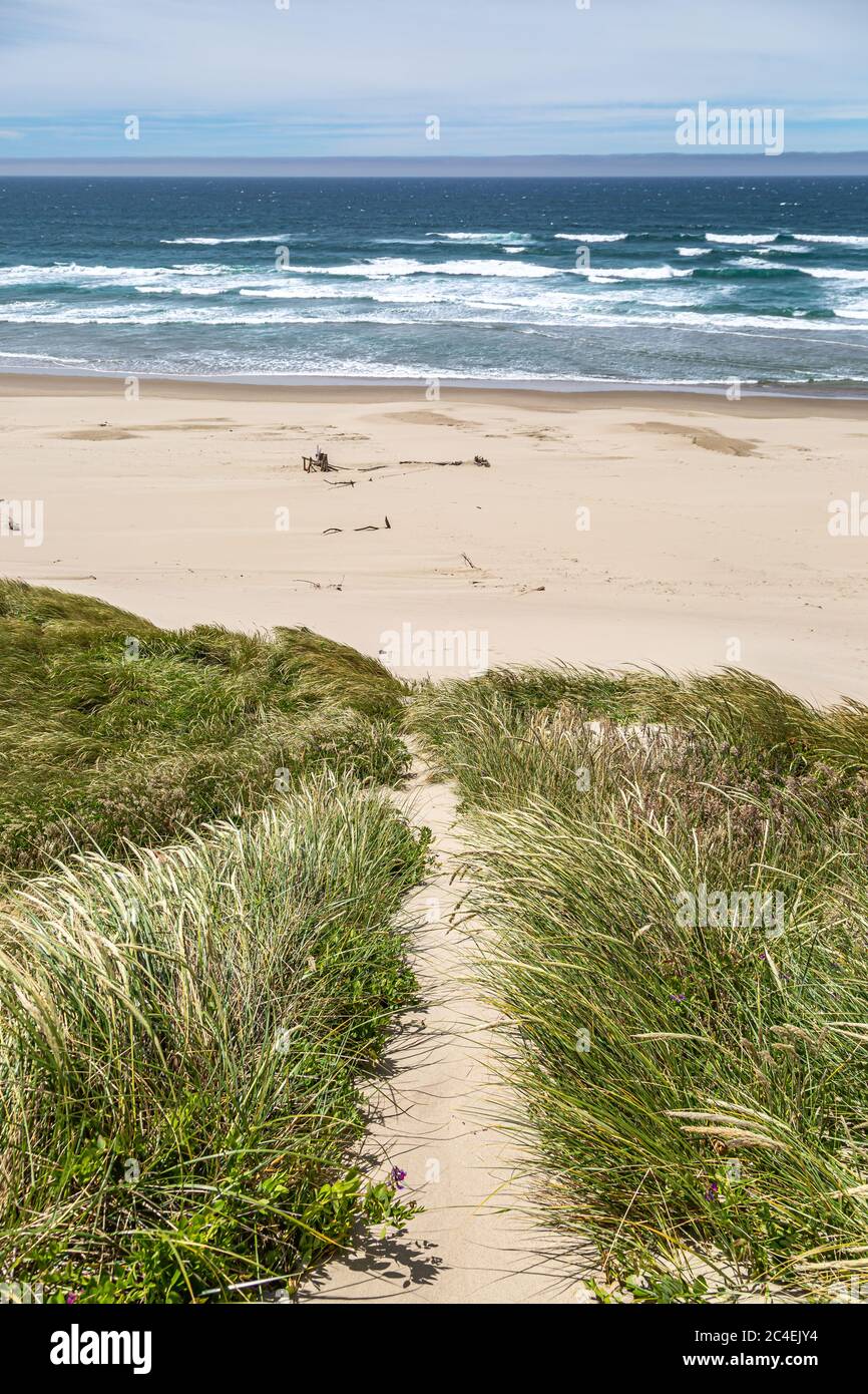 A marram grass lined pathway leading down a sand dune to a beach Stock ...