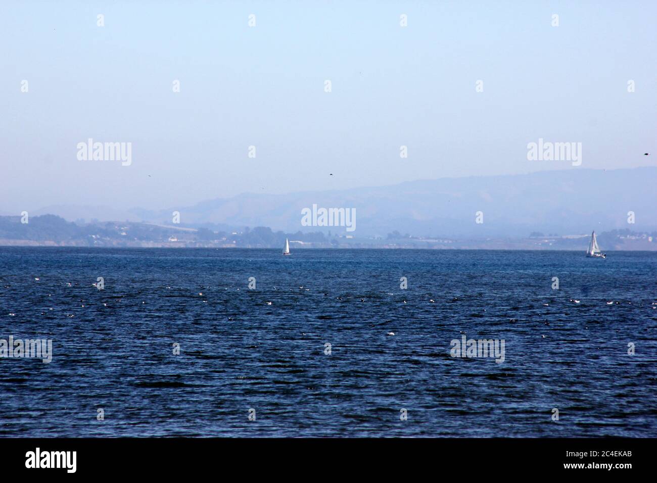 Santa Cruz Bay area in California, USA Stock Photo - Alamy