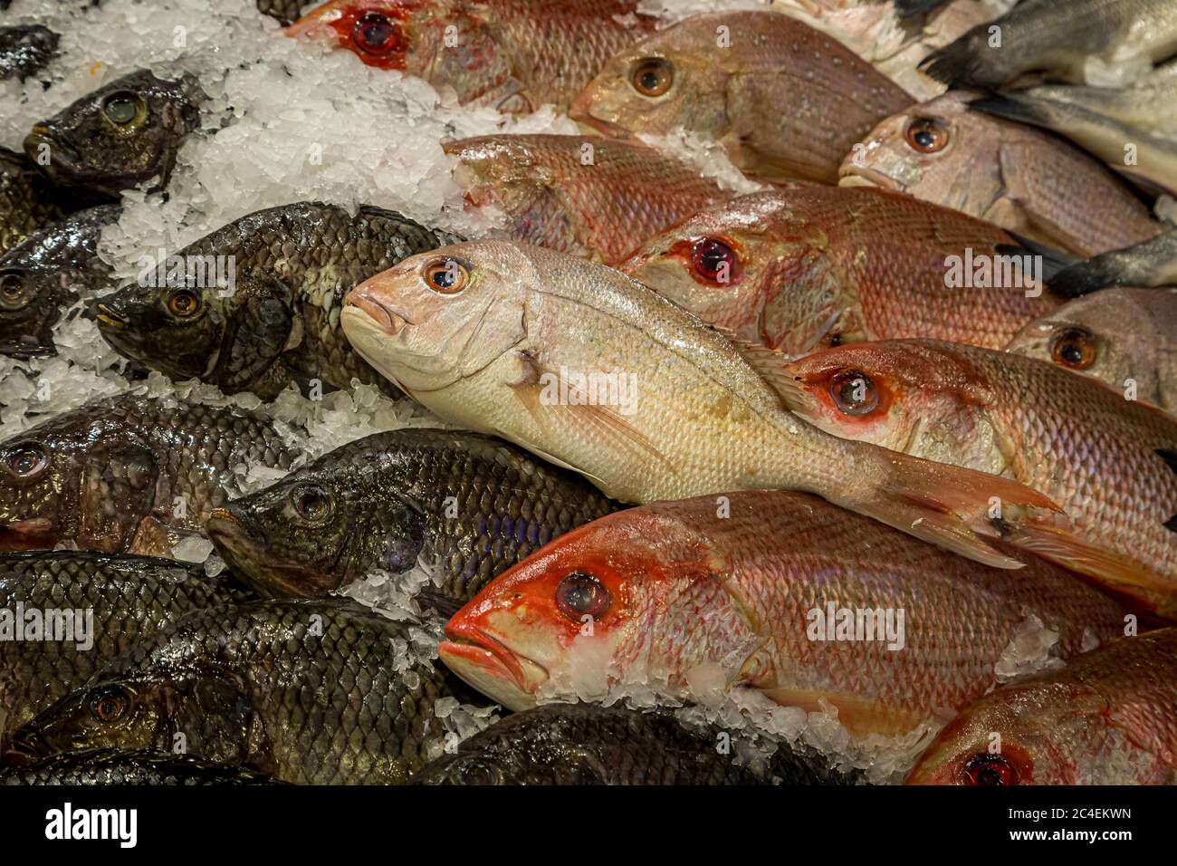 Looking down at a display of fish for sale on a market stall Stock ...
