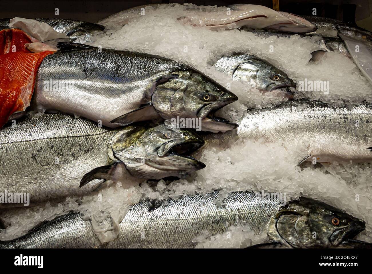Whole salmon, displayed on a bed of ice, for sale on a market stall ...