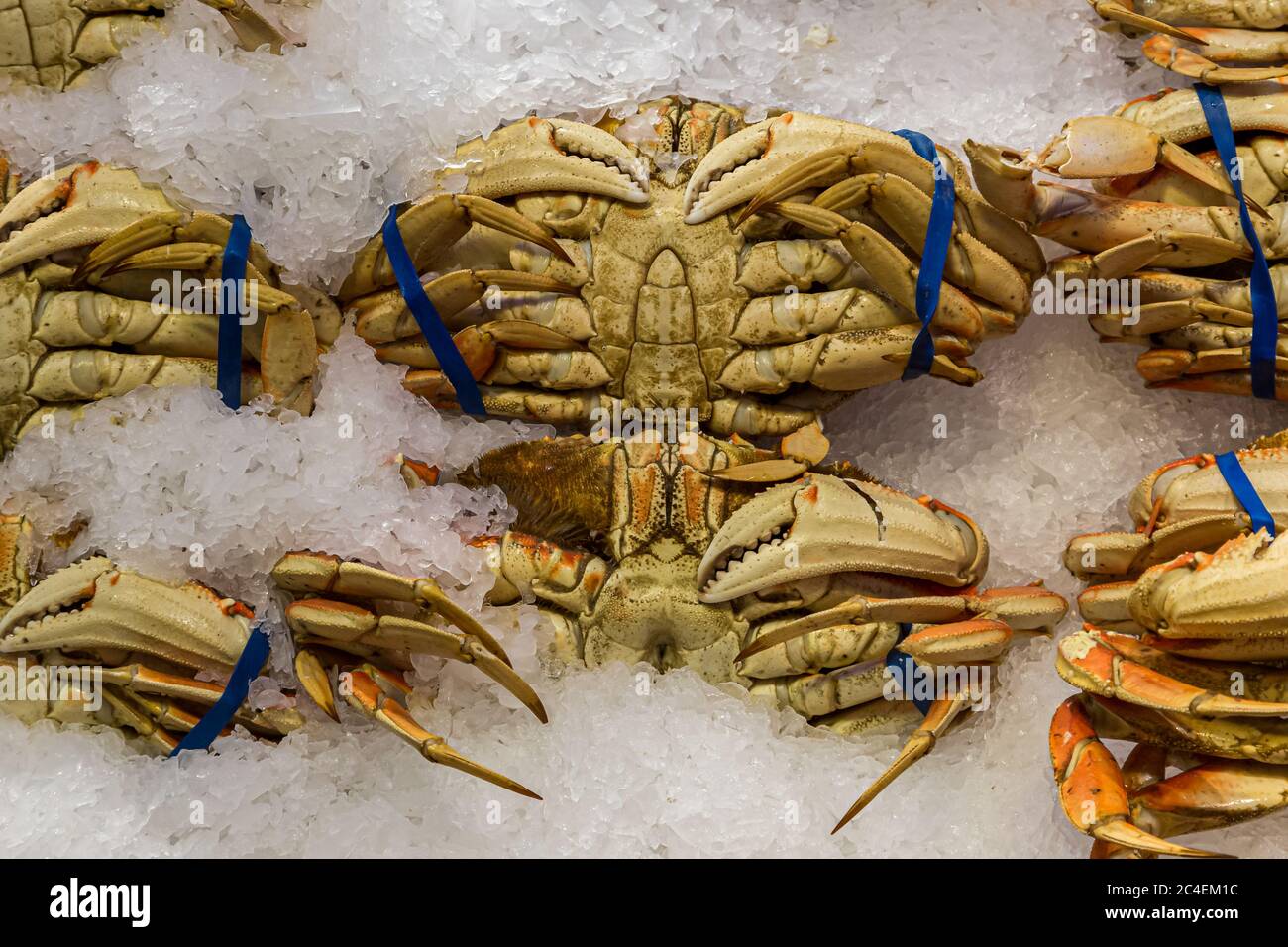 A high angle view of crabs for sale on a market stall Stock Photo - Alamy