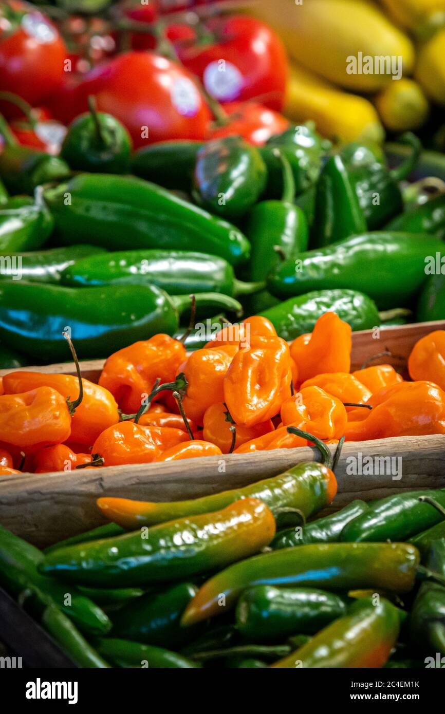 A display of vibrant chillies for sale on a market stall Stock Photo ...
