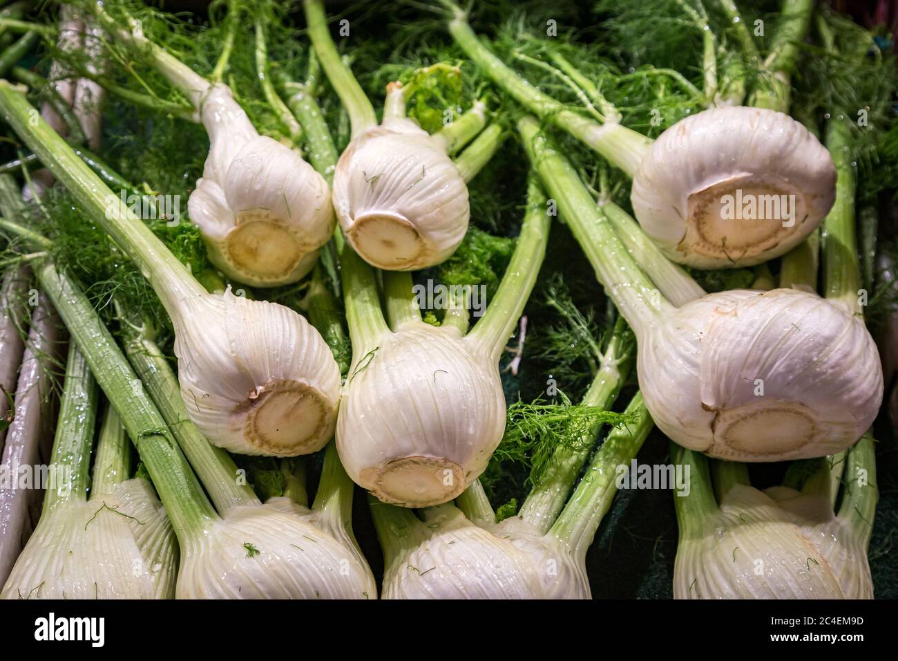 Whole fennel bulbs for sale on a market stall Stock Photo - Alamy
