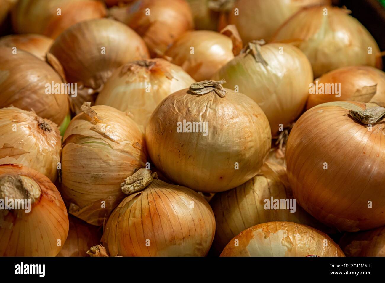 A full frame photograph of onions for sale on a market stall Stock ...