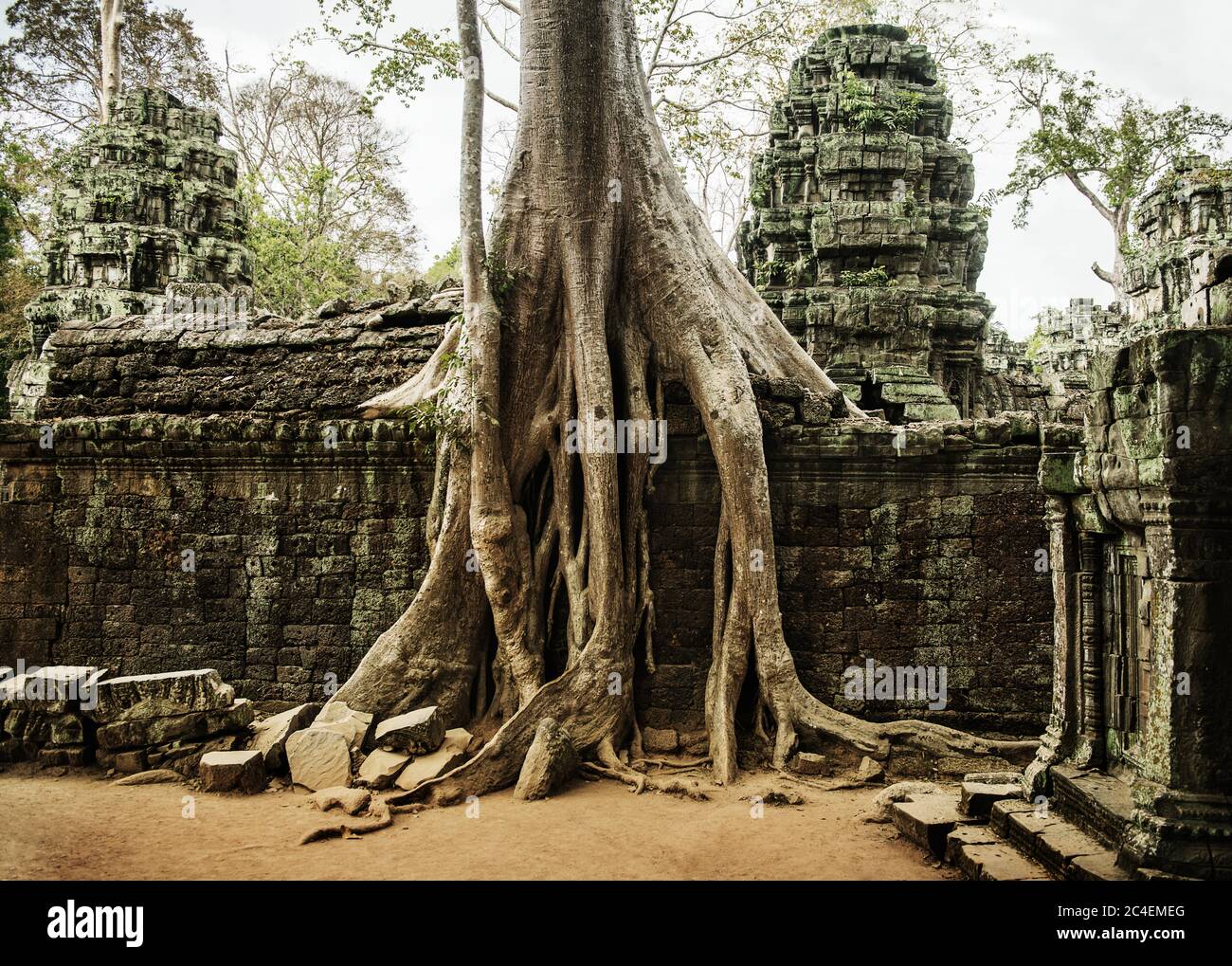 Ta prohm temple angkor wat hi-res stock photography and images - Alamy