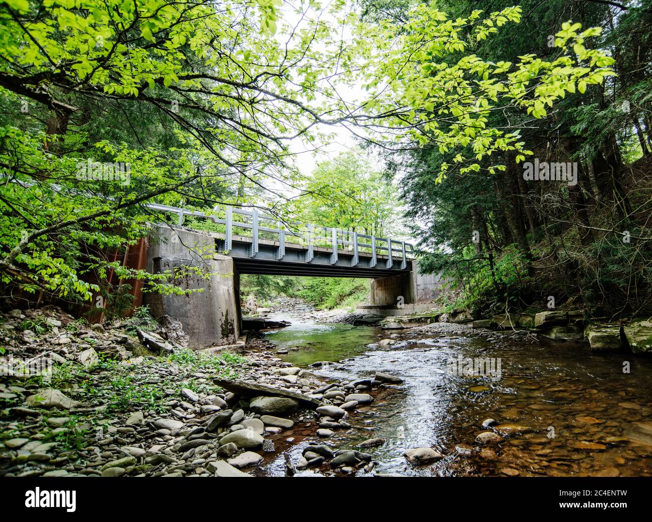 New york state forest hi-res stock photography and images - Alamy