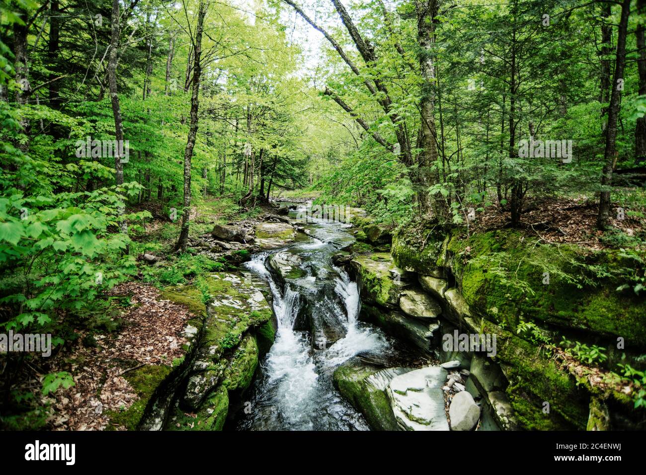 Catskill mountains, new york hi-res stock photography and images - Alamy