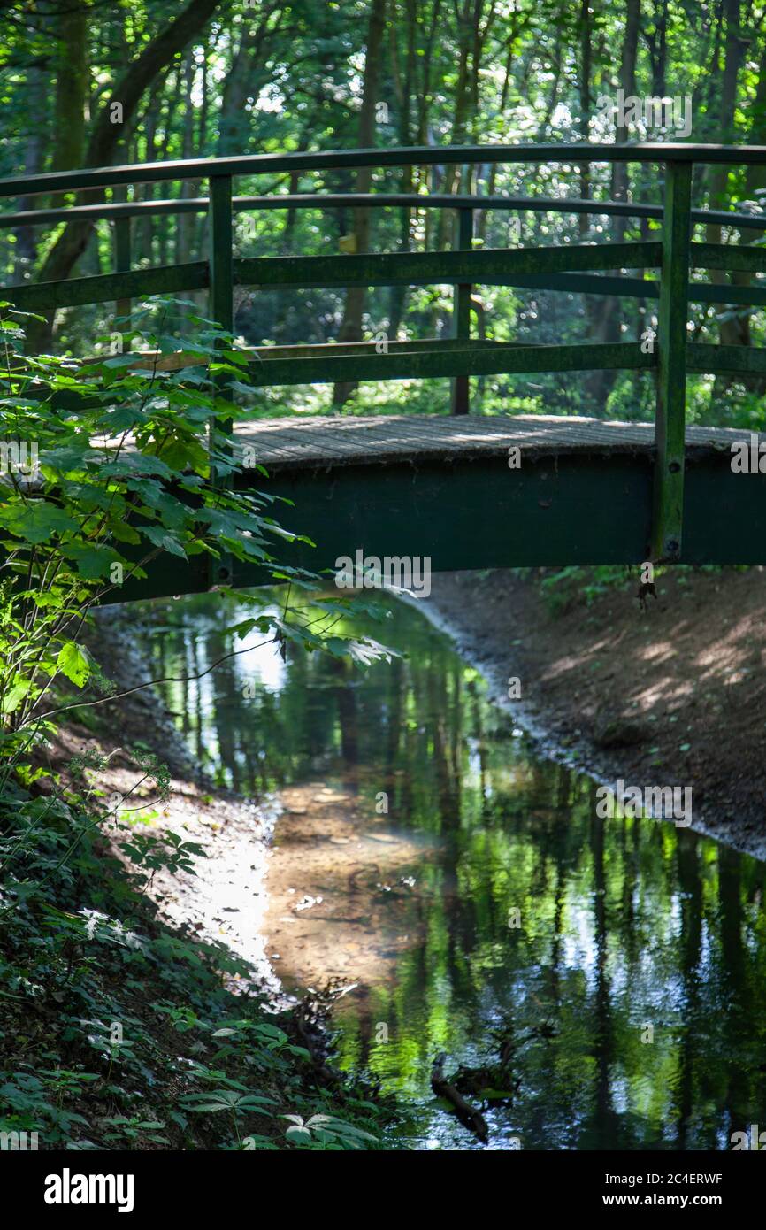 Boultham Park Lincoln, Lincolnshire, hidden bridge, pooh bridge, poo ...