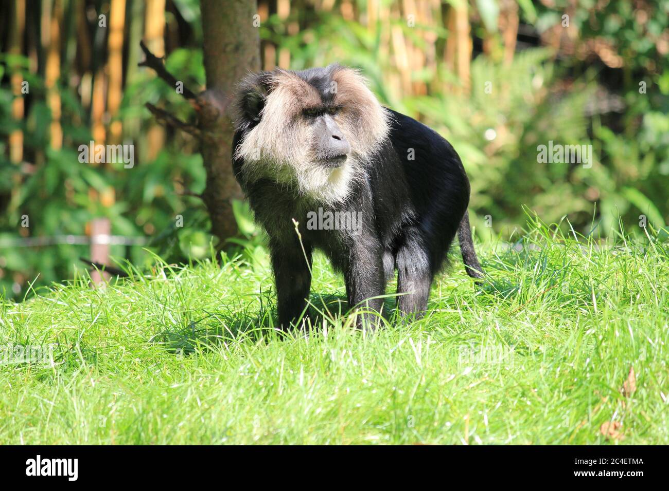 Wanderoe hi-res stock photography and images - Alamy