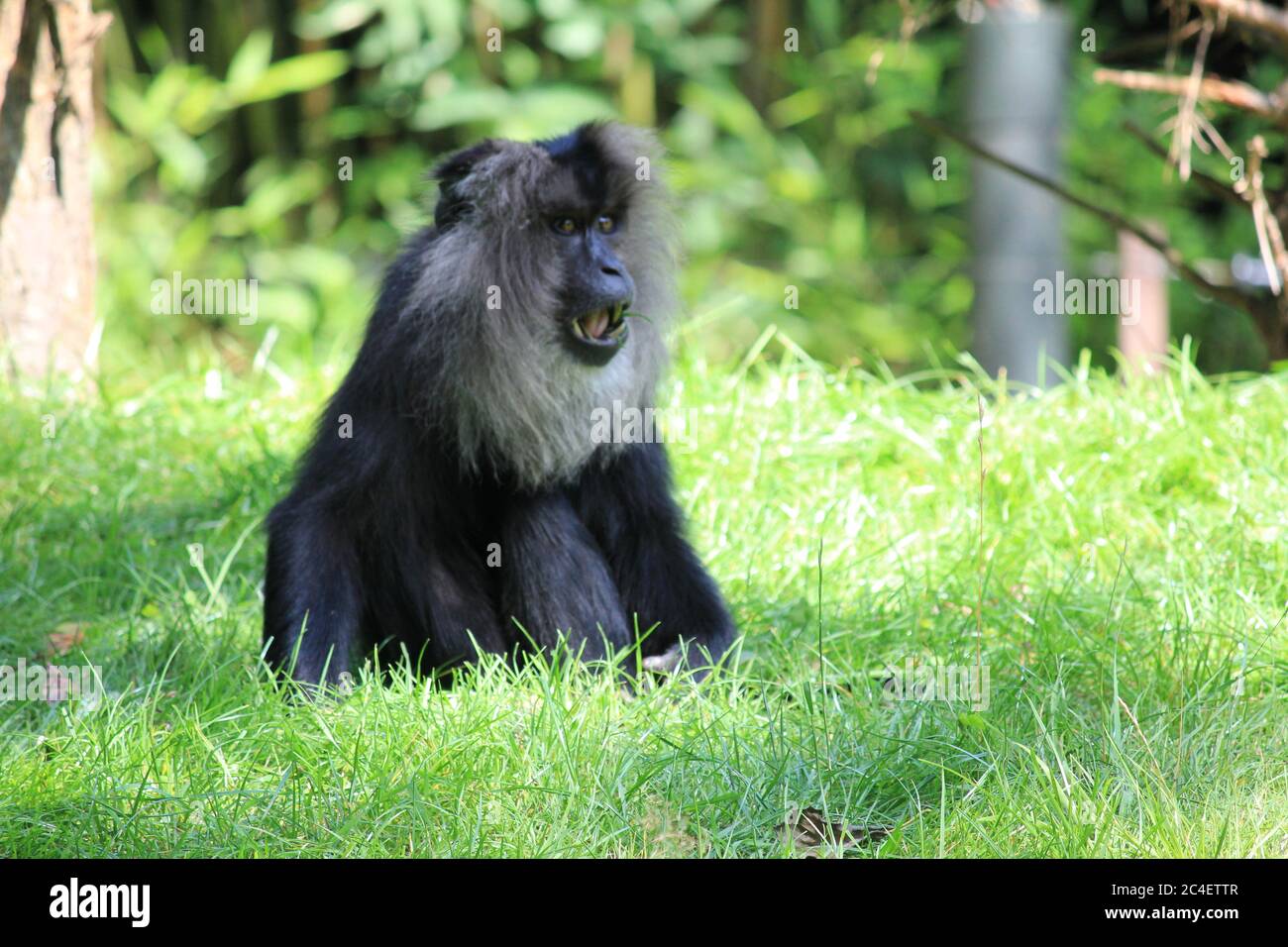 Wanderoe hi-res stock photography and images - Alamy