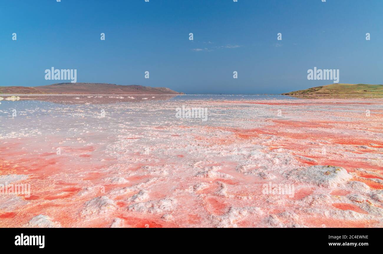 Brine and salt of a pink lake Koyash colored by microalgae Dunaliella ...
