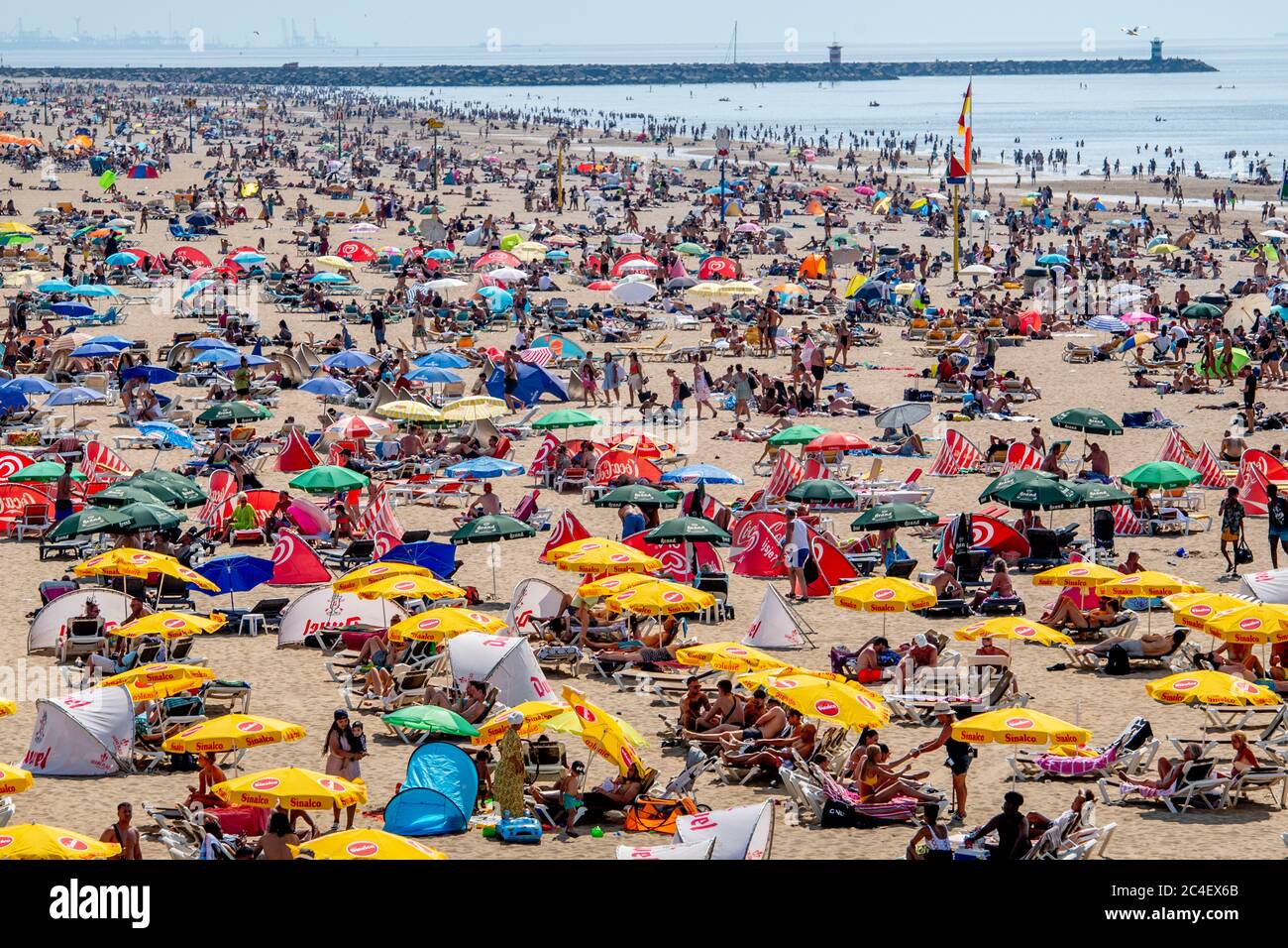 People enjoy the sun and the warm weather during the heat wave at a ...