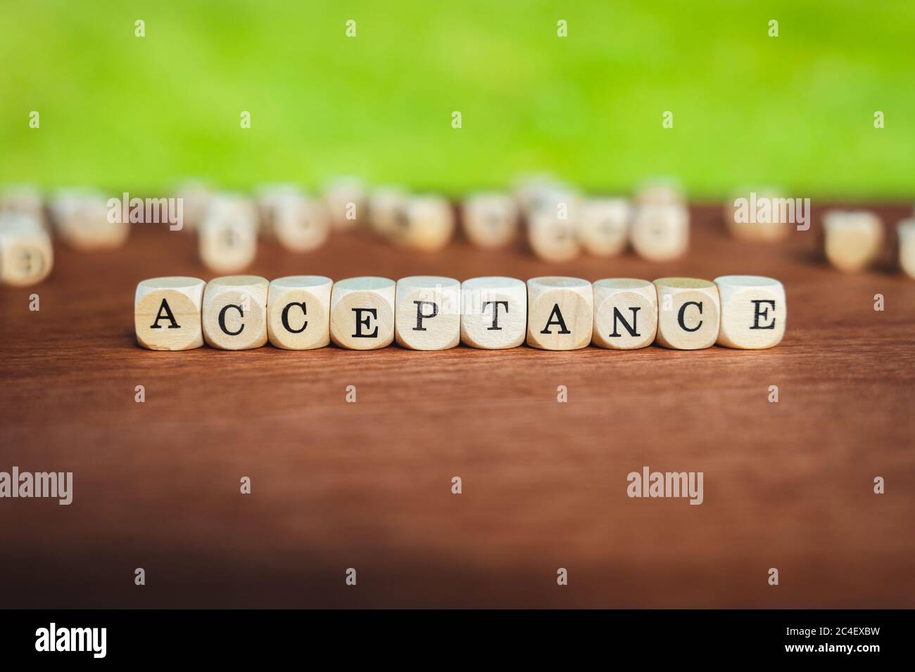 Closeup of isolated dices on a table showing the word acceptance ...