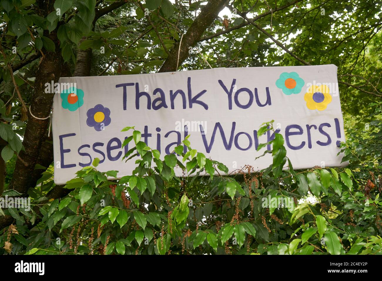 Thank you essential workers signs tree hi-res stock photography and ...