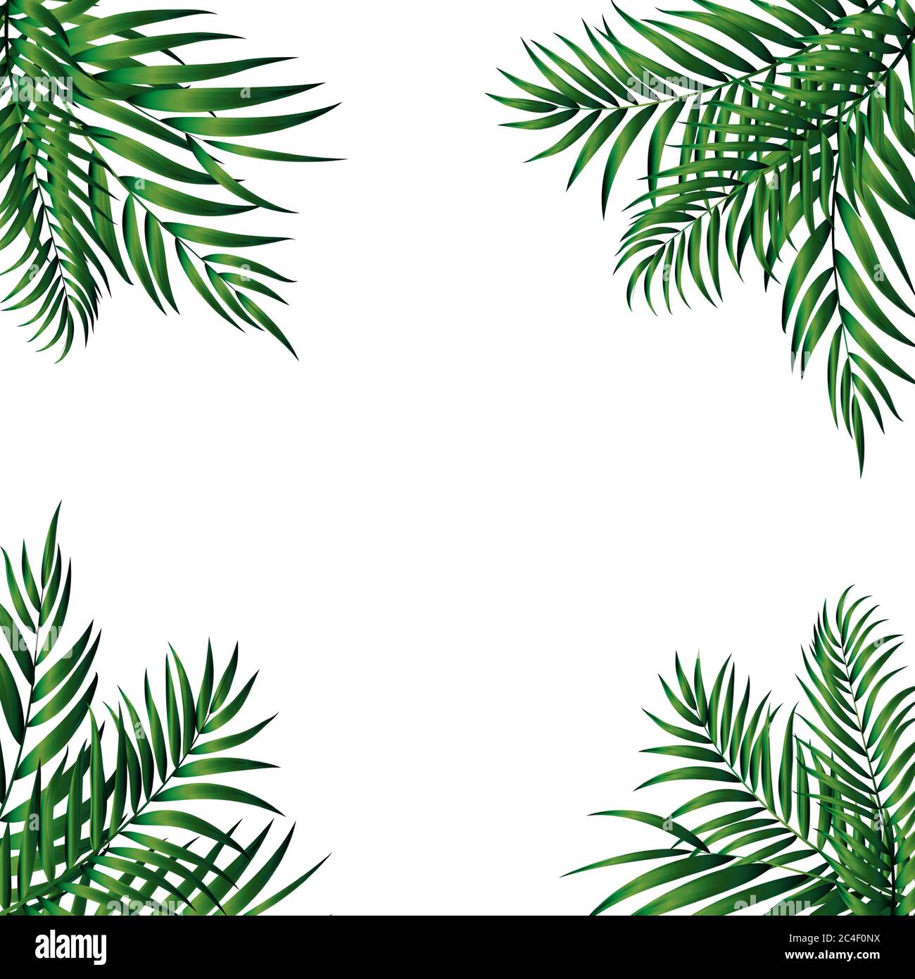 Abstract natural green palm Stock Vector Images - Alamy