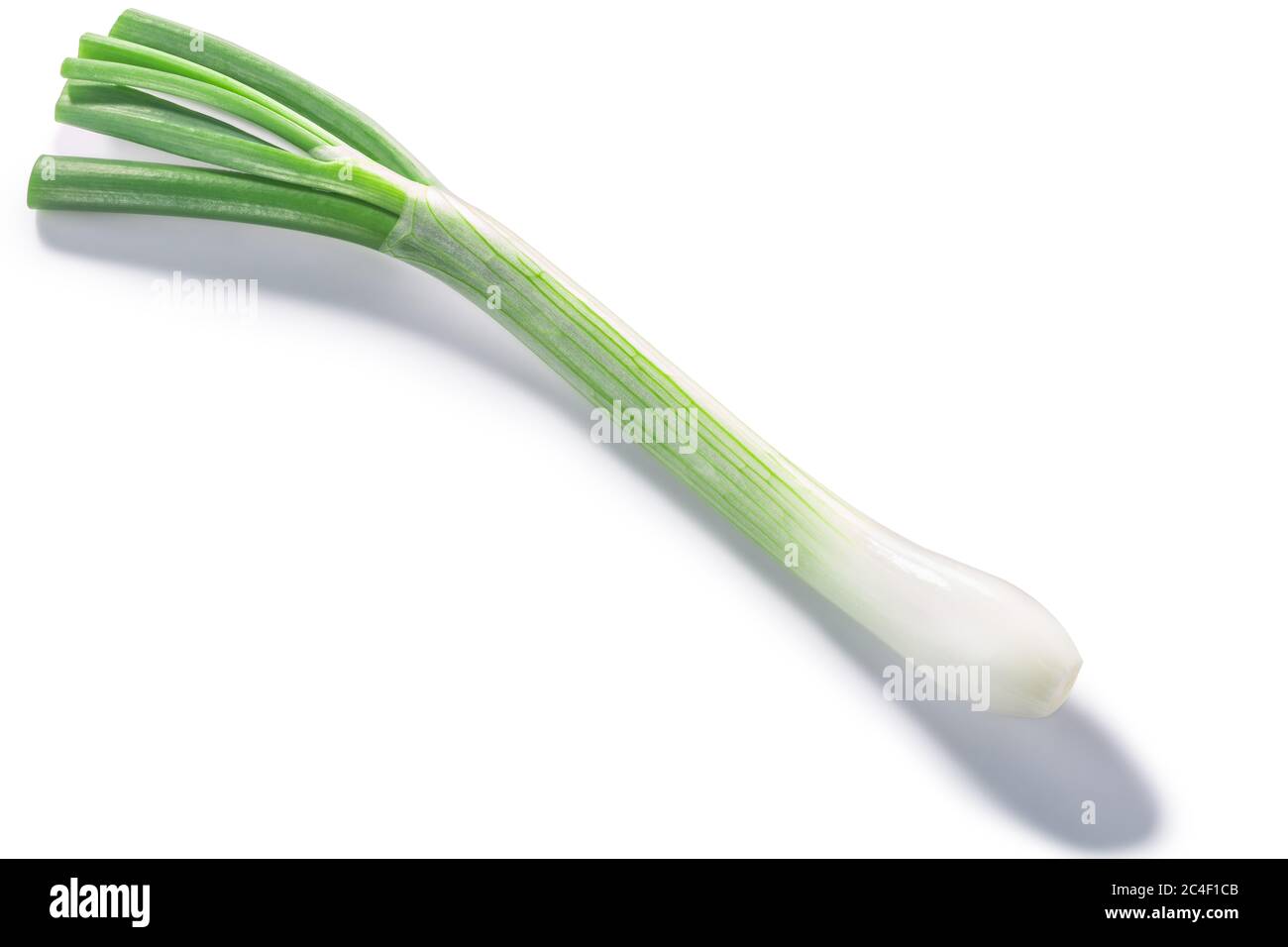 Onion stem hi-res stock photography and images - Alamy