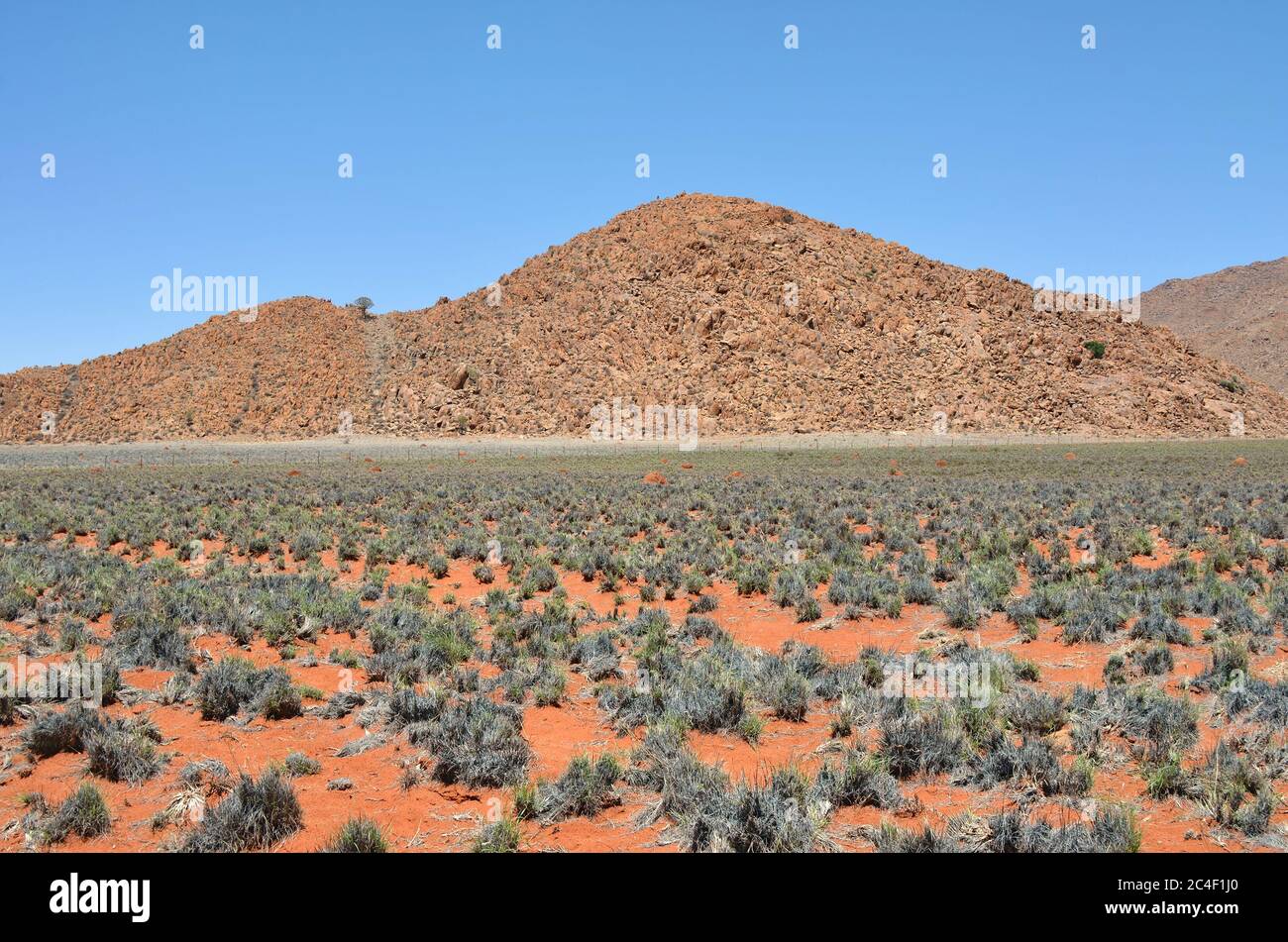 Beautiful landscape of the Namib desert during rainy season, Namibia, Africa. On background ...