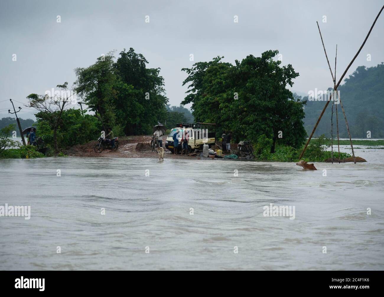 Mayang hi-res stock photography and images - Alamy