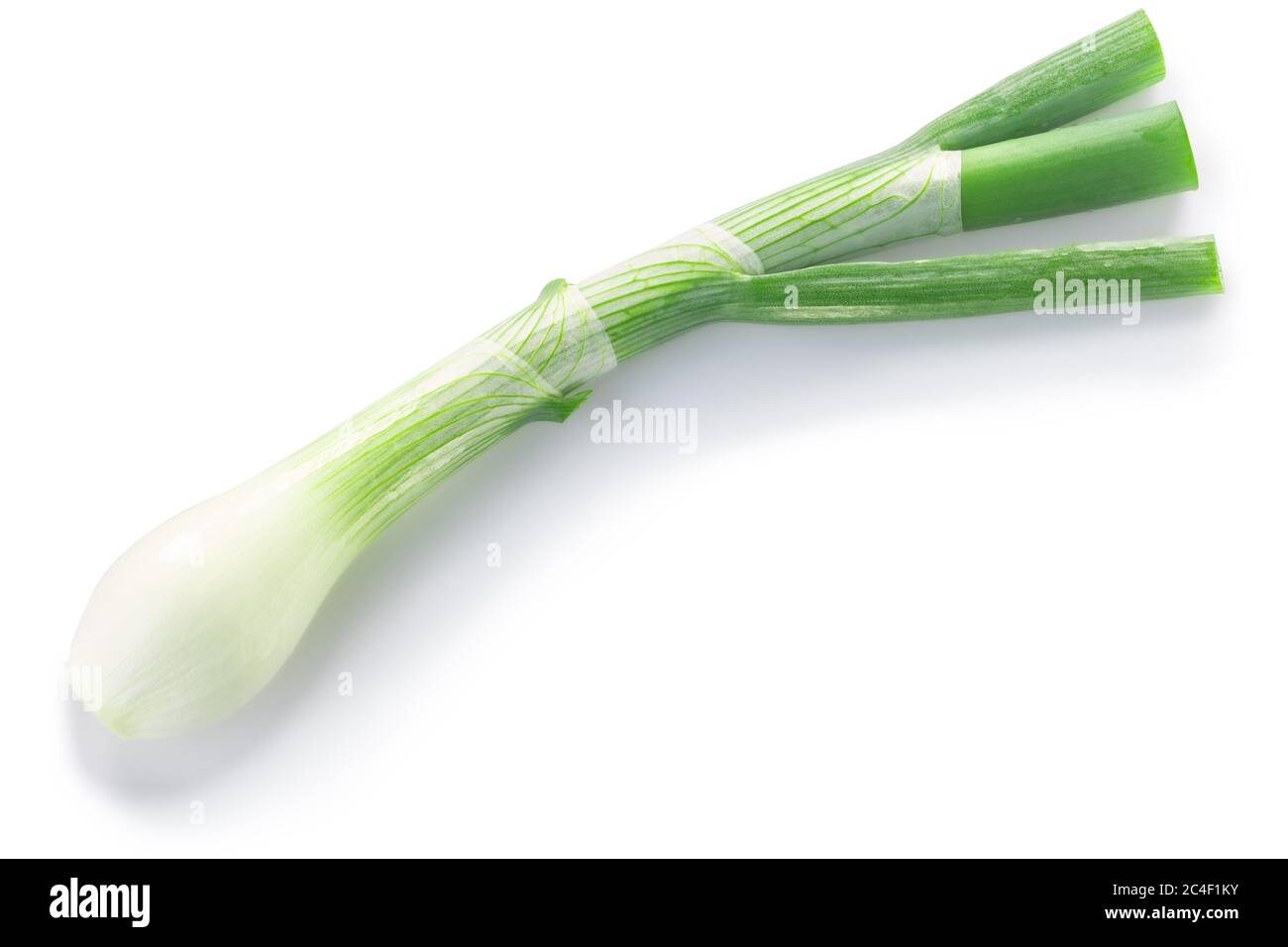Onion stem hi-res stock photography and images - Alamy