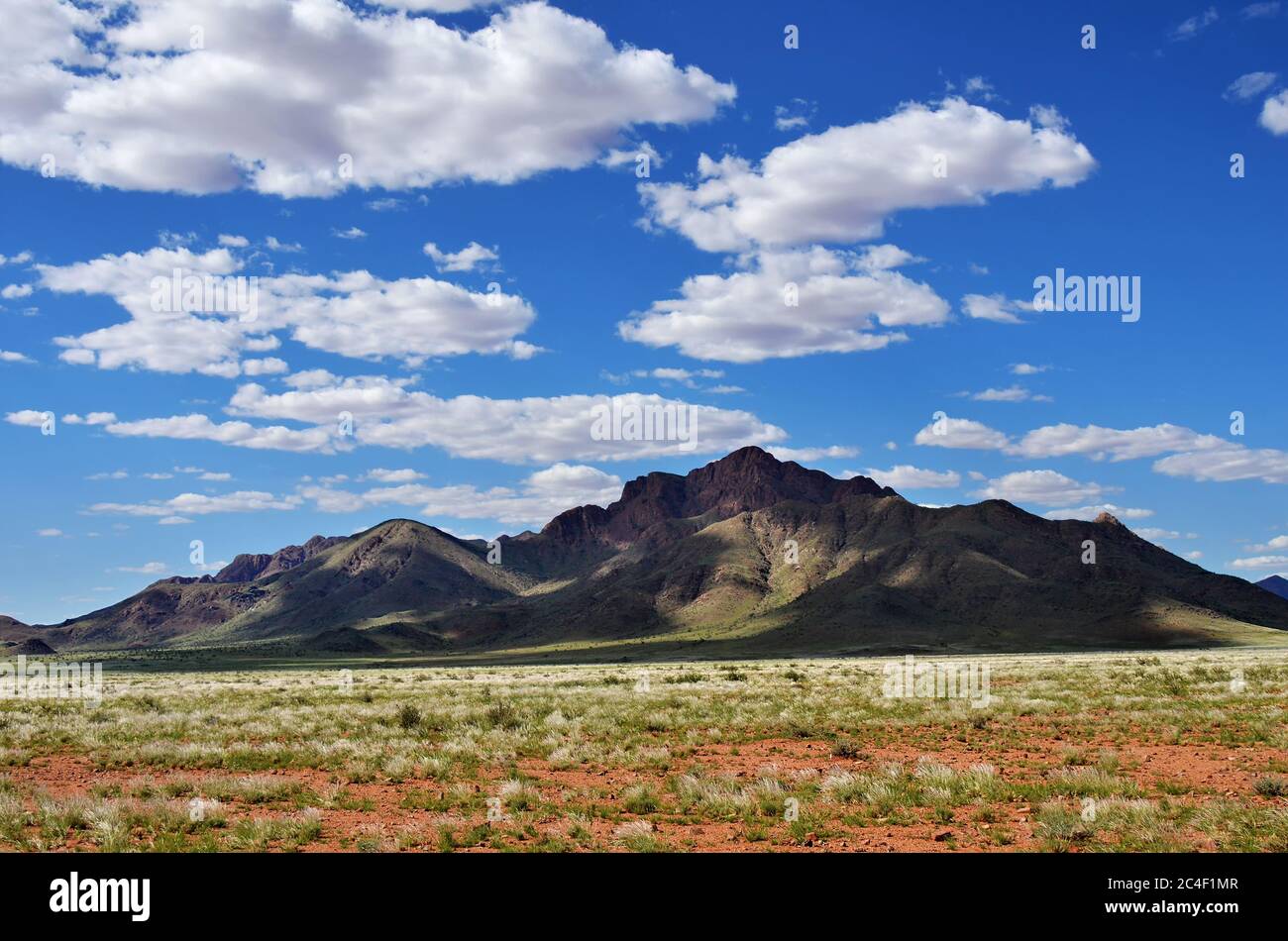 Beautiful landscape of the Namib desert during rainy season, Namibia, Africa Stock Photo - Alamy