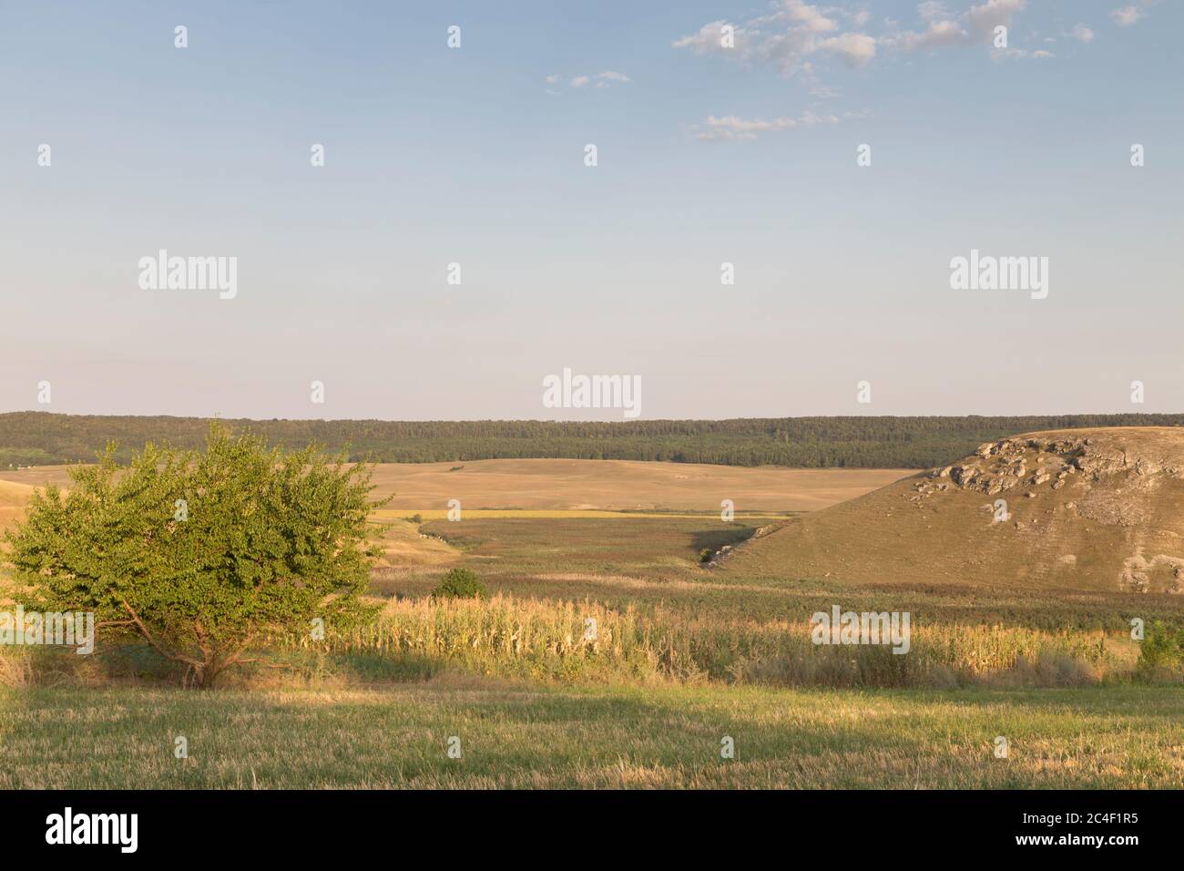 Beautiful rural landscape. The landscape photographed in the nord of ...