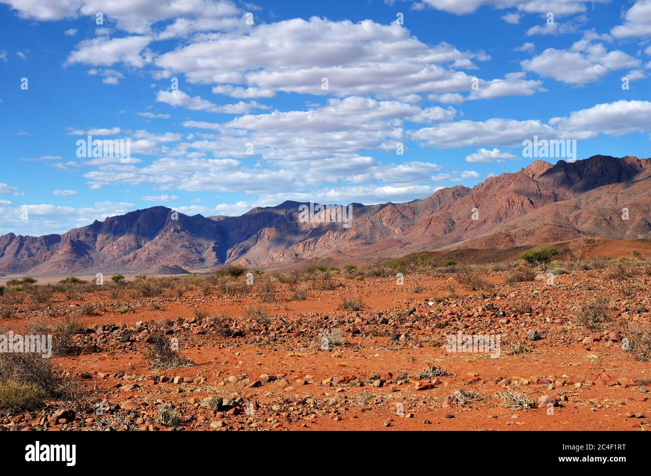 Beautiful landscape of the Namib desert during rainy season, Namibia, Africa Stock Photo - Alamy
