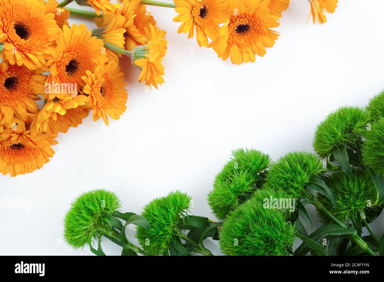 Abstract pattern with orange and green flowers frame on white ...