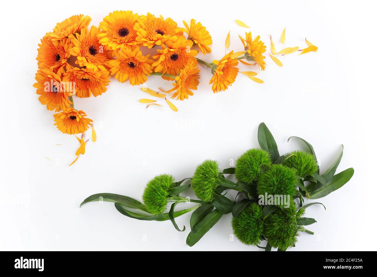 Abstract pattern with orange and green flowers frame on white ...