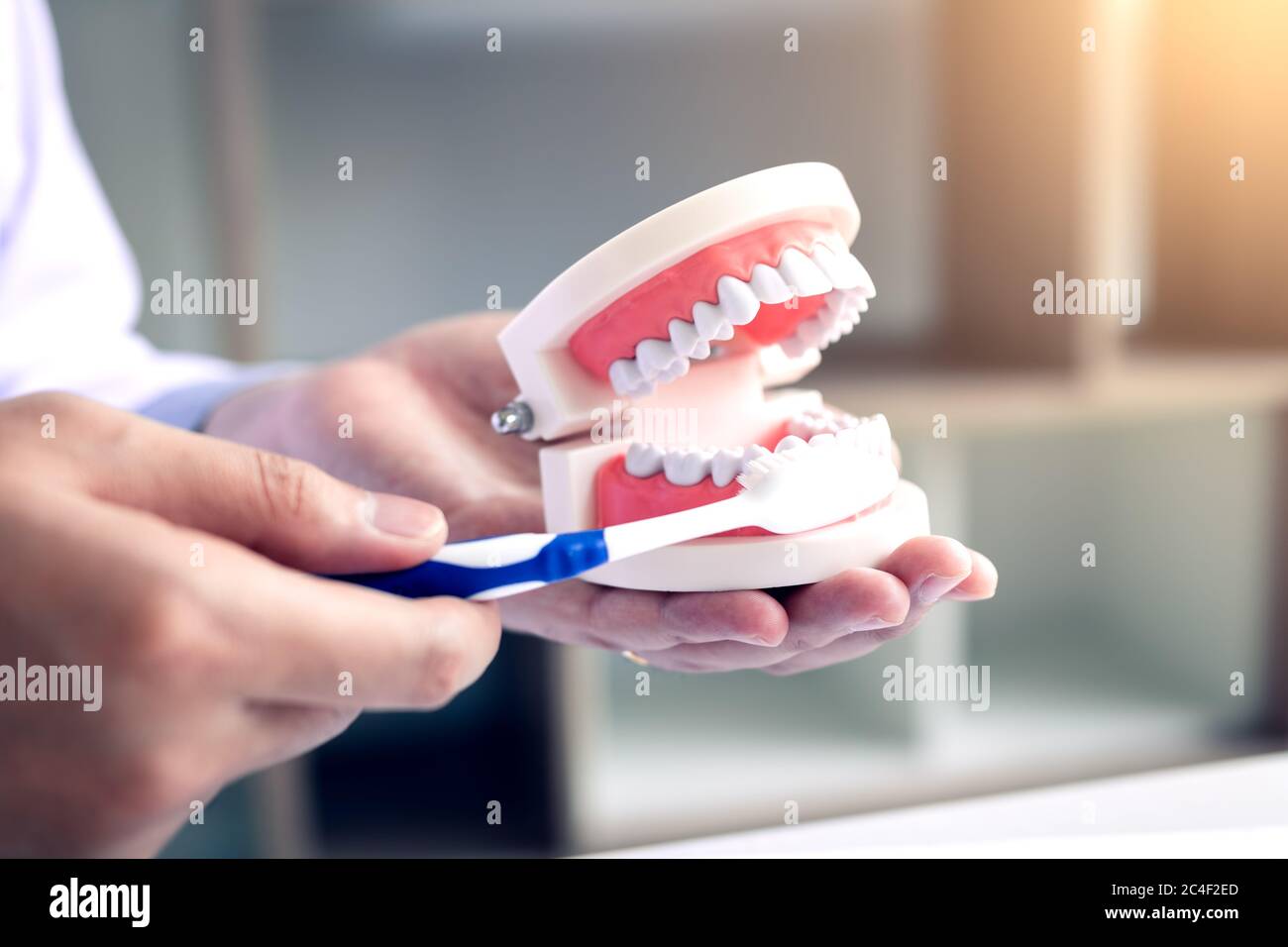 Close up hand dentists are demonstrating how to brush their teeth ...