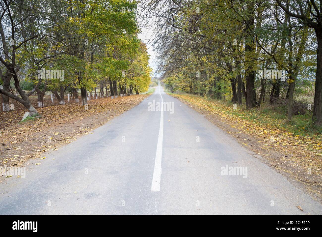 Road to a long way off. The central composition of the road running ...