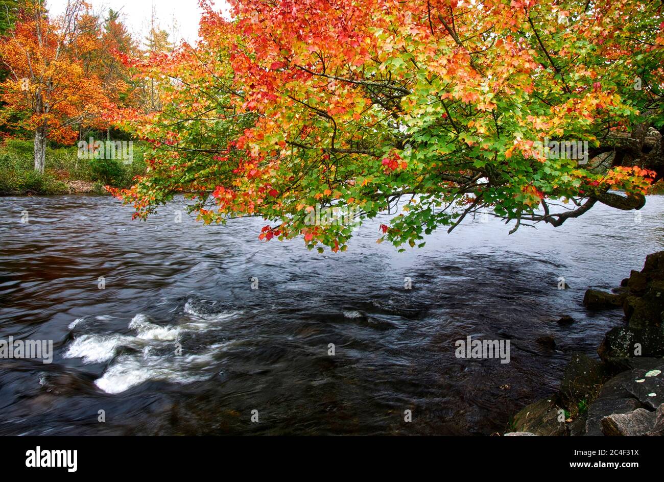 Stream of color hi-res stock photography and images - Alamy