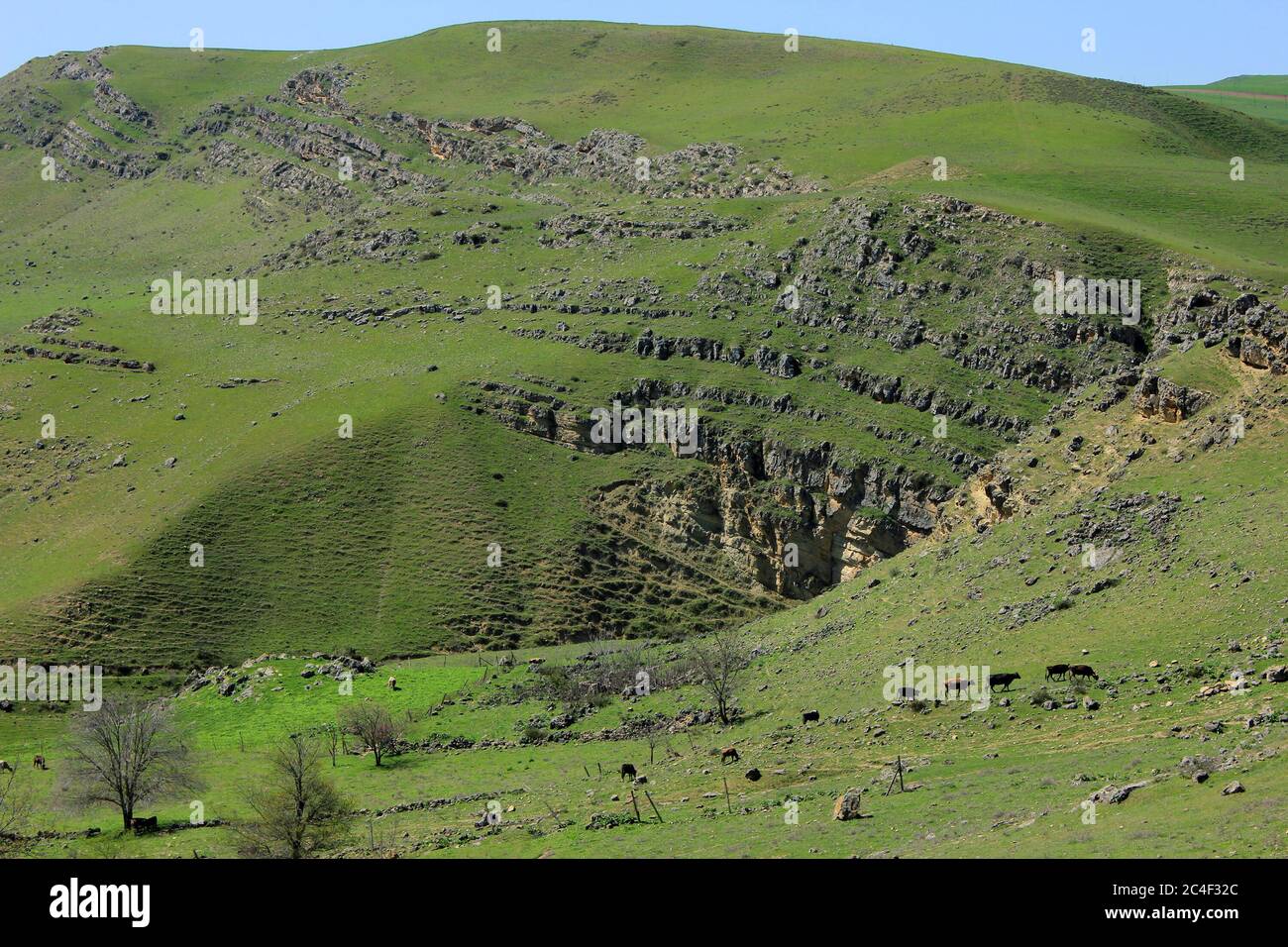 Azerbaijan. Beautiful, spring mountains in the green grass Stock Photo ...