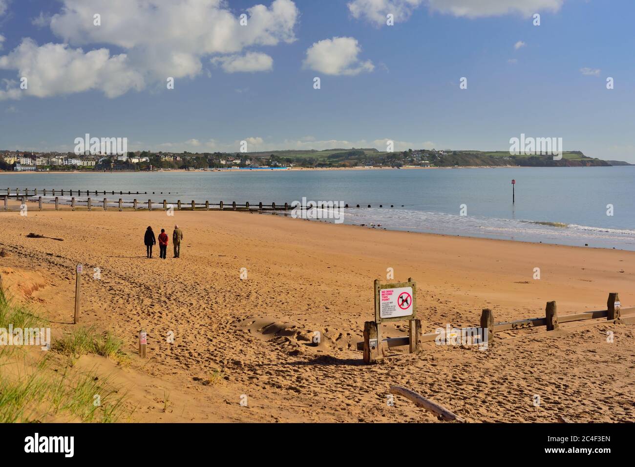 Exmouth beach groynes hi-res stock photography and images - Alamy