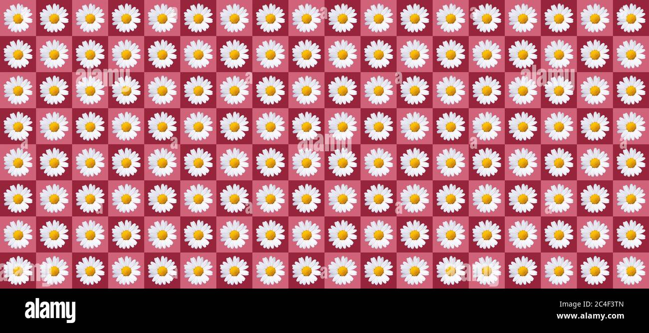 pattern with plenty daisy blossoms on red colored background, wallpaper ...