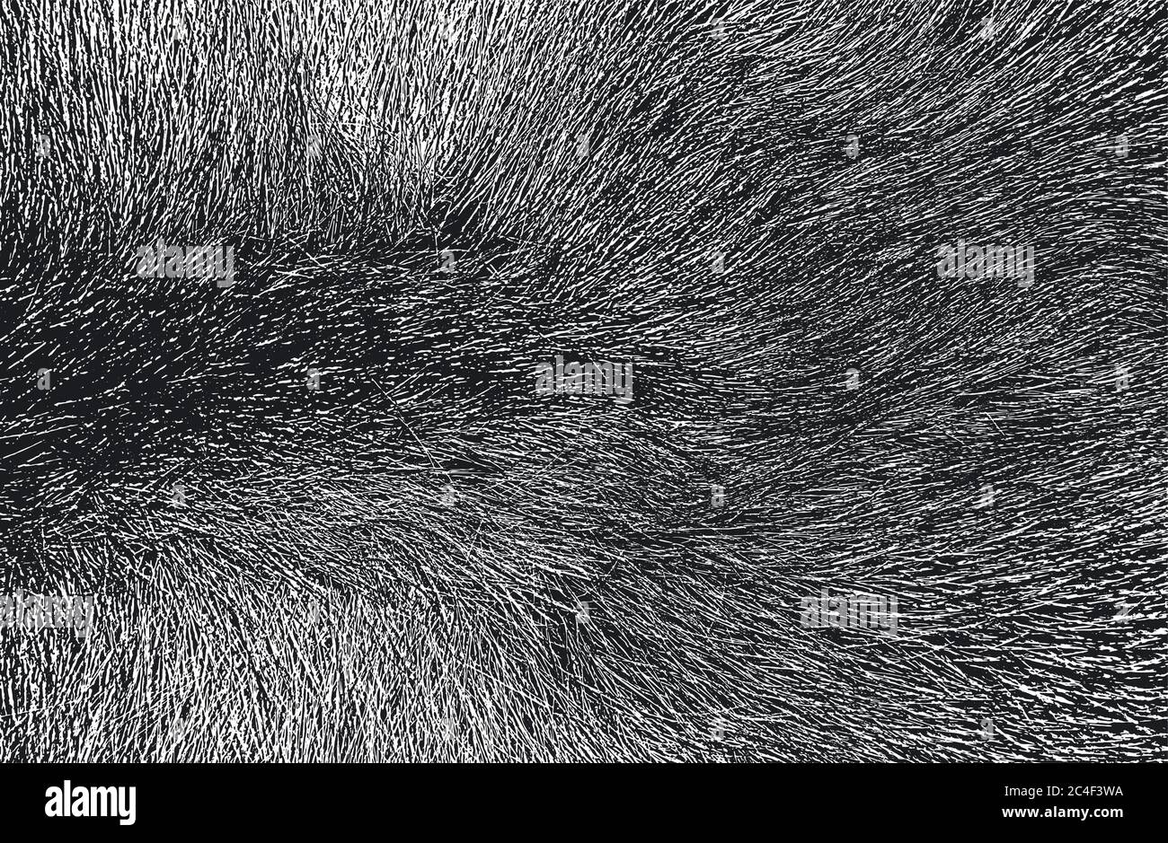 Distressed overlay texture of natural fur, grunge vector background ...