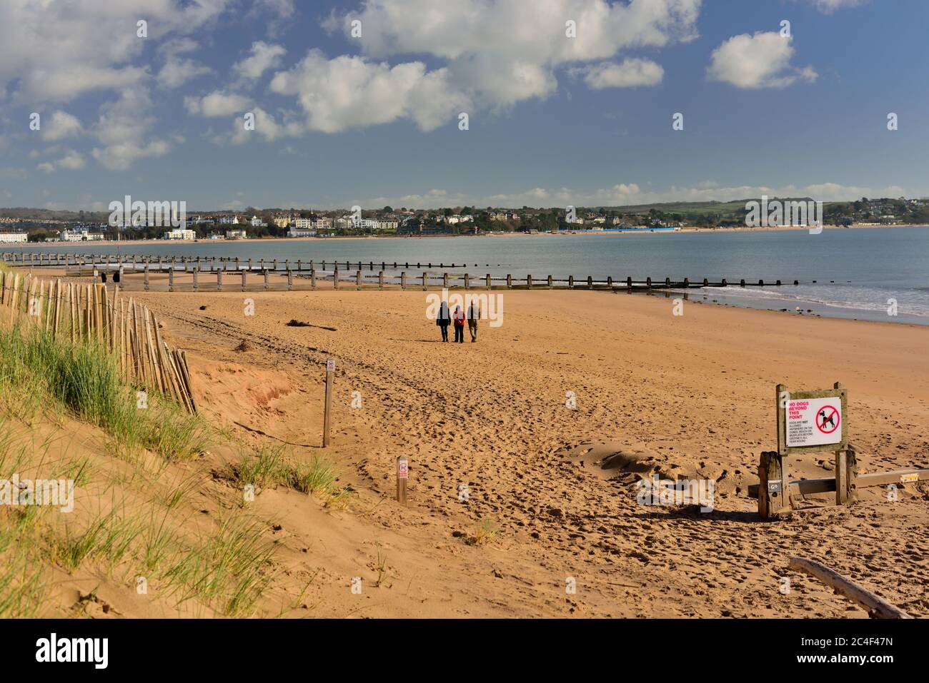 Exmouth Beach Groynes High Resolution Stock Photography and Images - Alamy