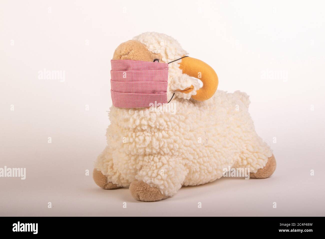 Sheep wearing a face mask hi-res stock photography and images - Alamy