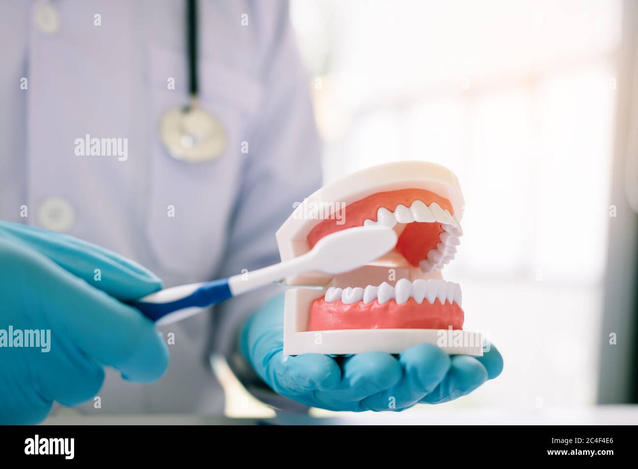 Close up of hand dentist is holding dentures jaw showing how to brush ...