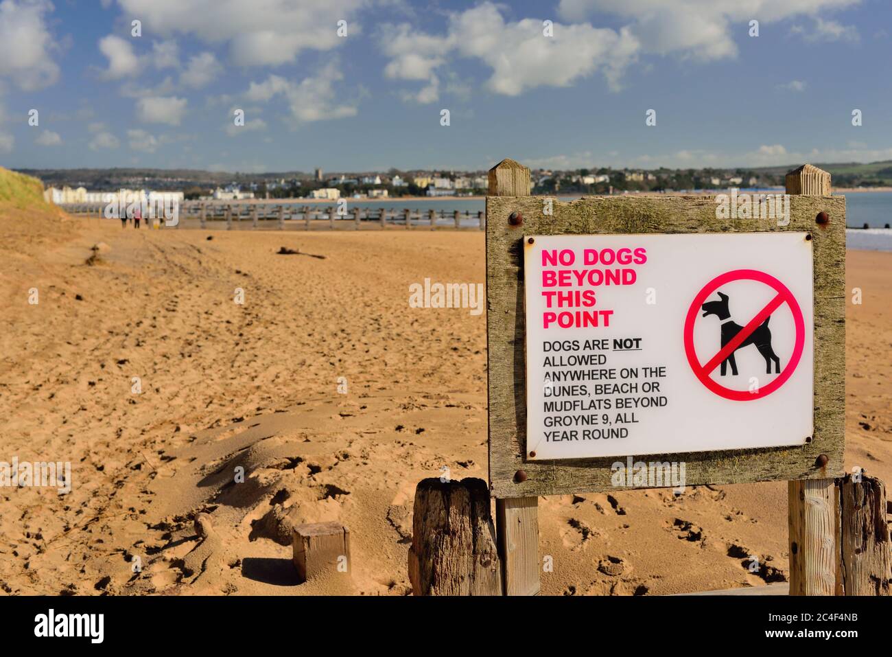 Exmouth Beach Groynes High Resolution Stock Photography and Images - Alamy