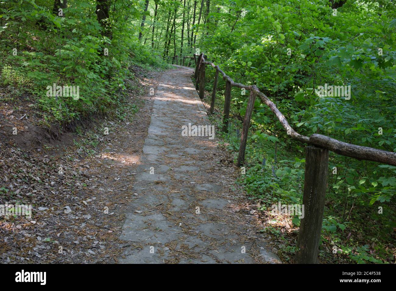 Summer beautiful forest. The stone path with a wooden barrier is Stock ...
