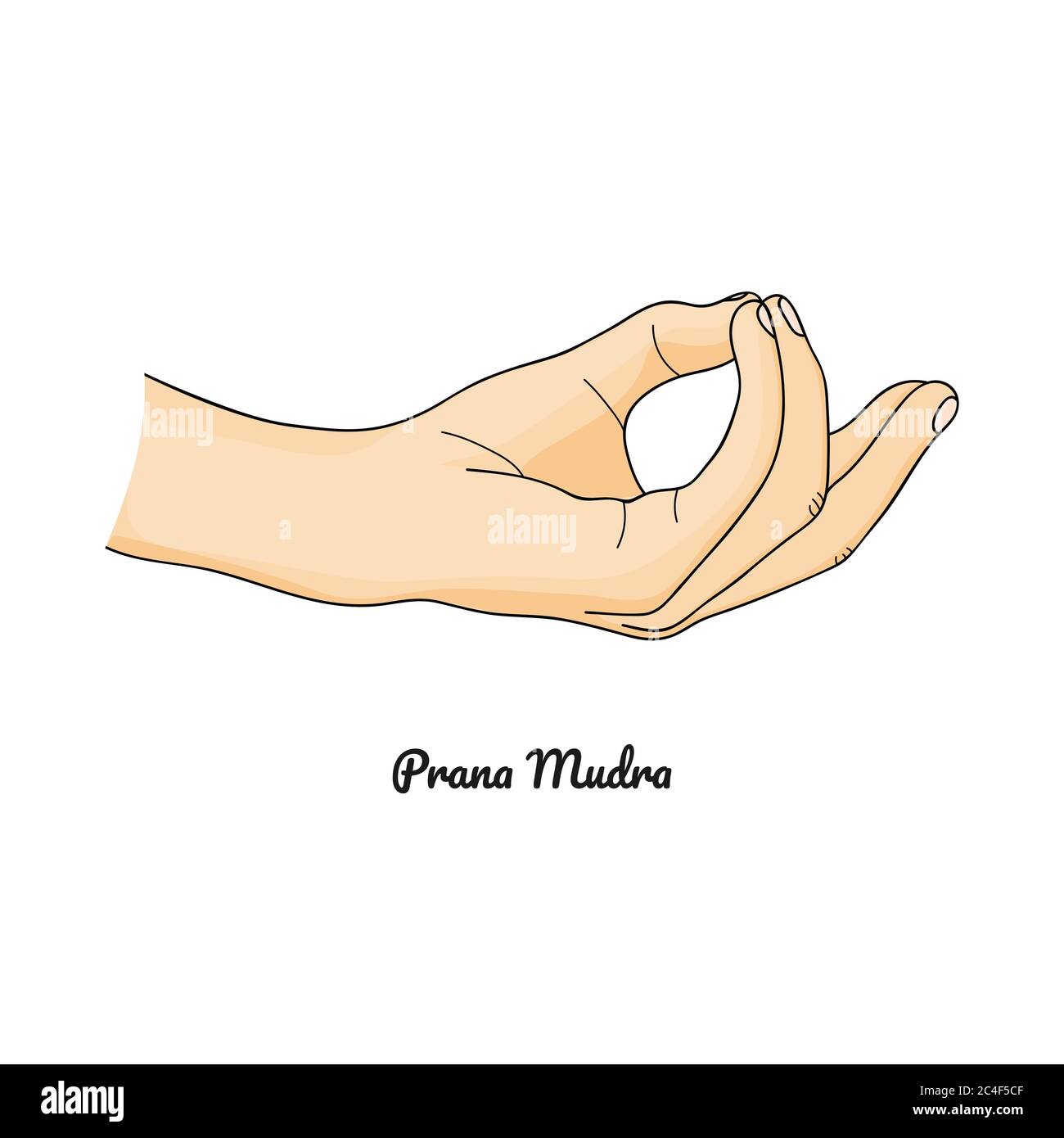 Pran Mudra / Gesture of Life. Vector Stock Vector Image & Art - Alamy