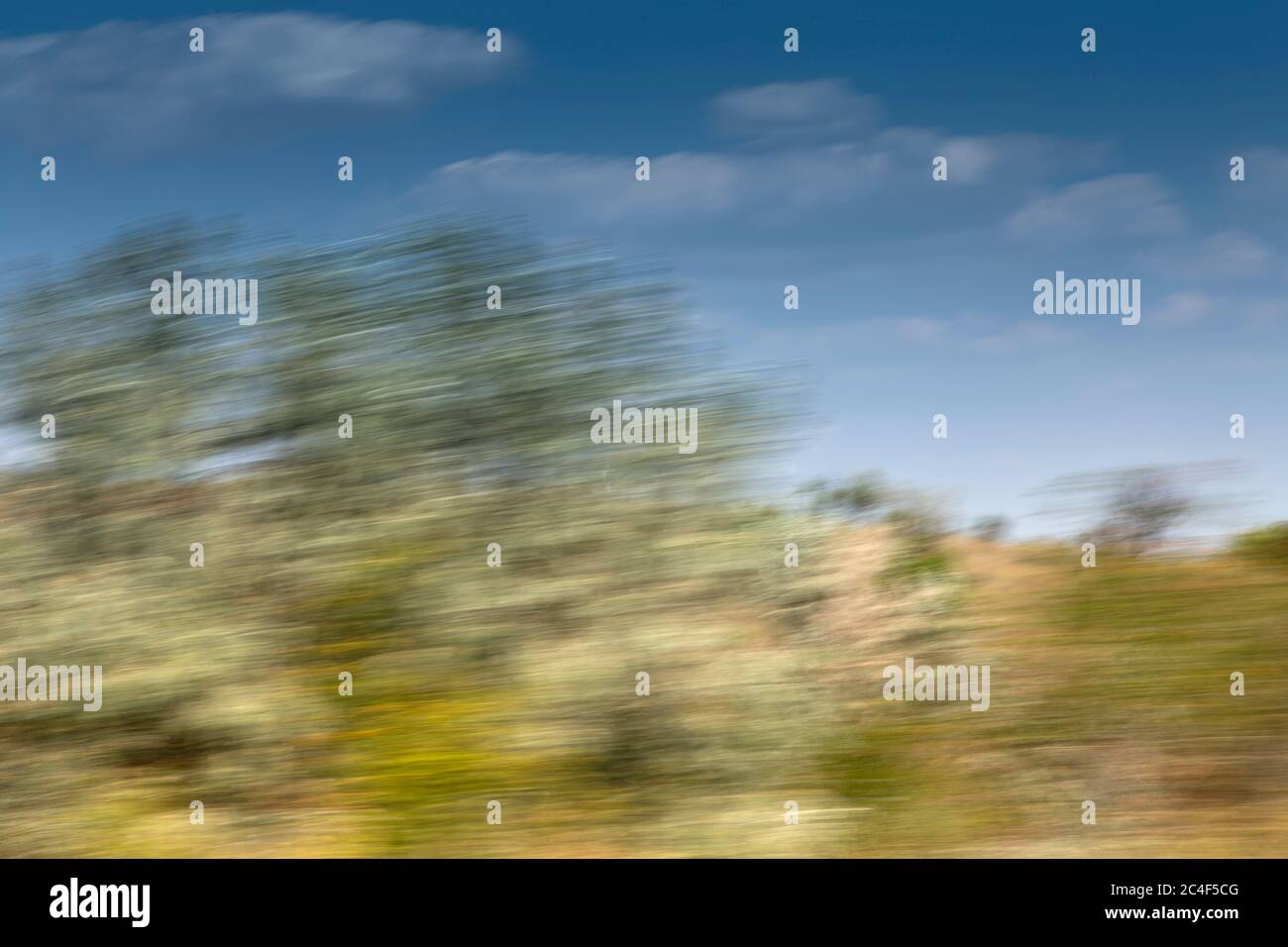View from the car window. Landscape photographed while driving Stock ...