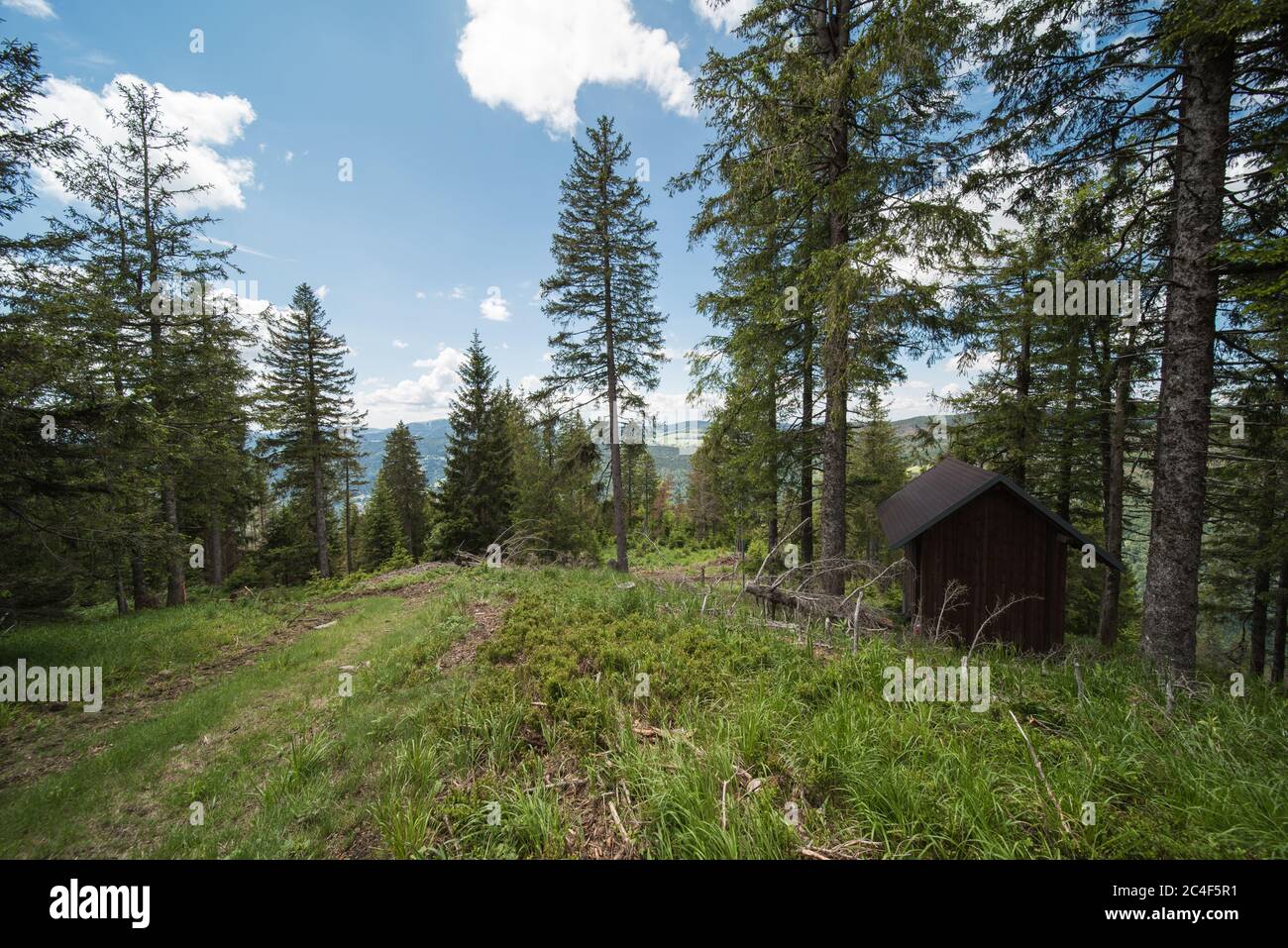 hut in the black forest in germany on the Silberberg near todtnau Stock ...