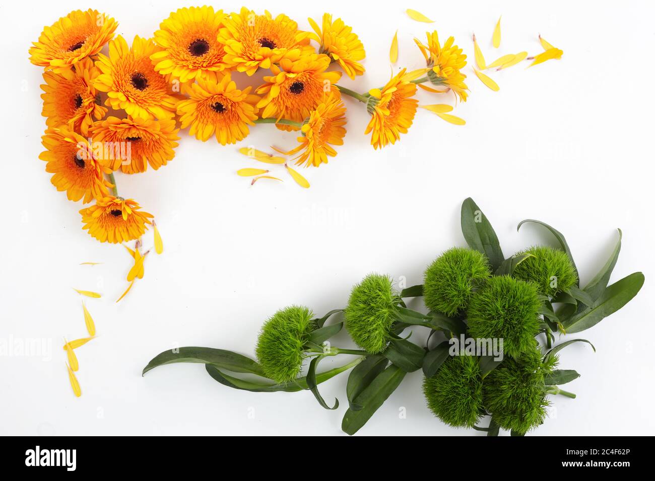 Abstract pattern with orange and green flowers frame on white ...