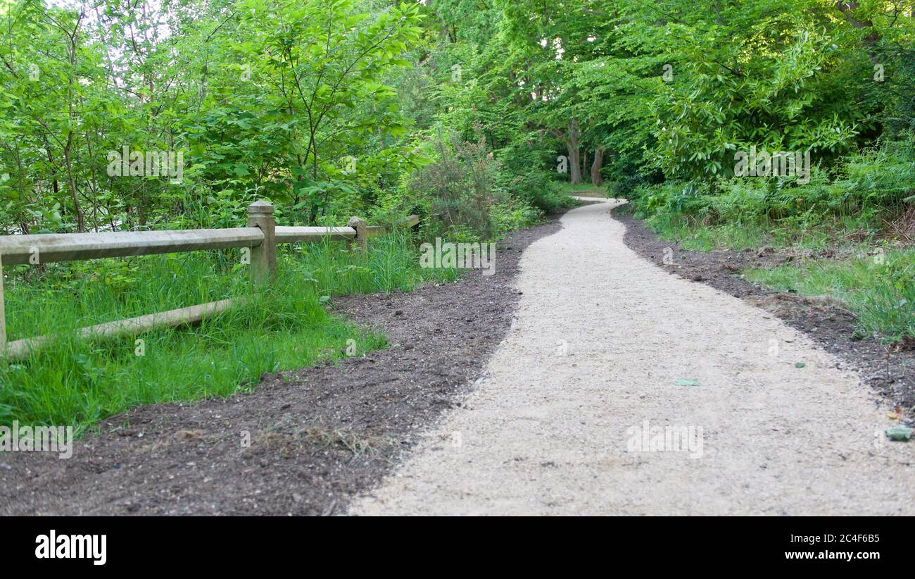 Rough pathway hi-res stock photography and images - Alamy