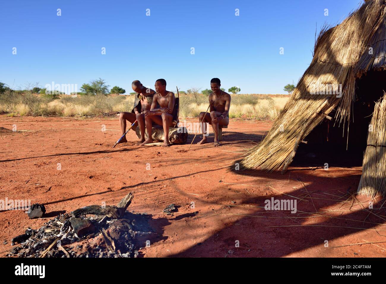 KALAHARI, NAMIBIA - JAN 24, 2016: Bushmen tribe village. The San people ...