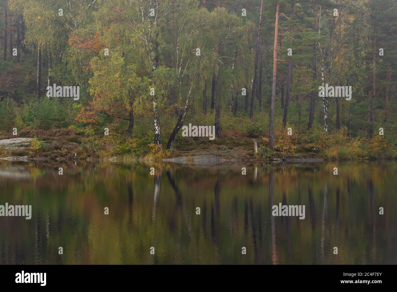 Amazing shot of a reflective lake surface on trees background Stock ...