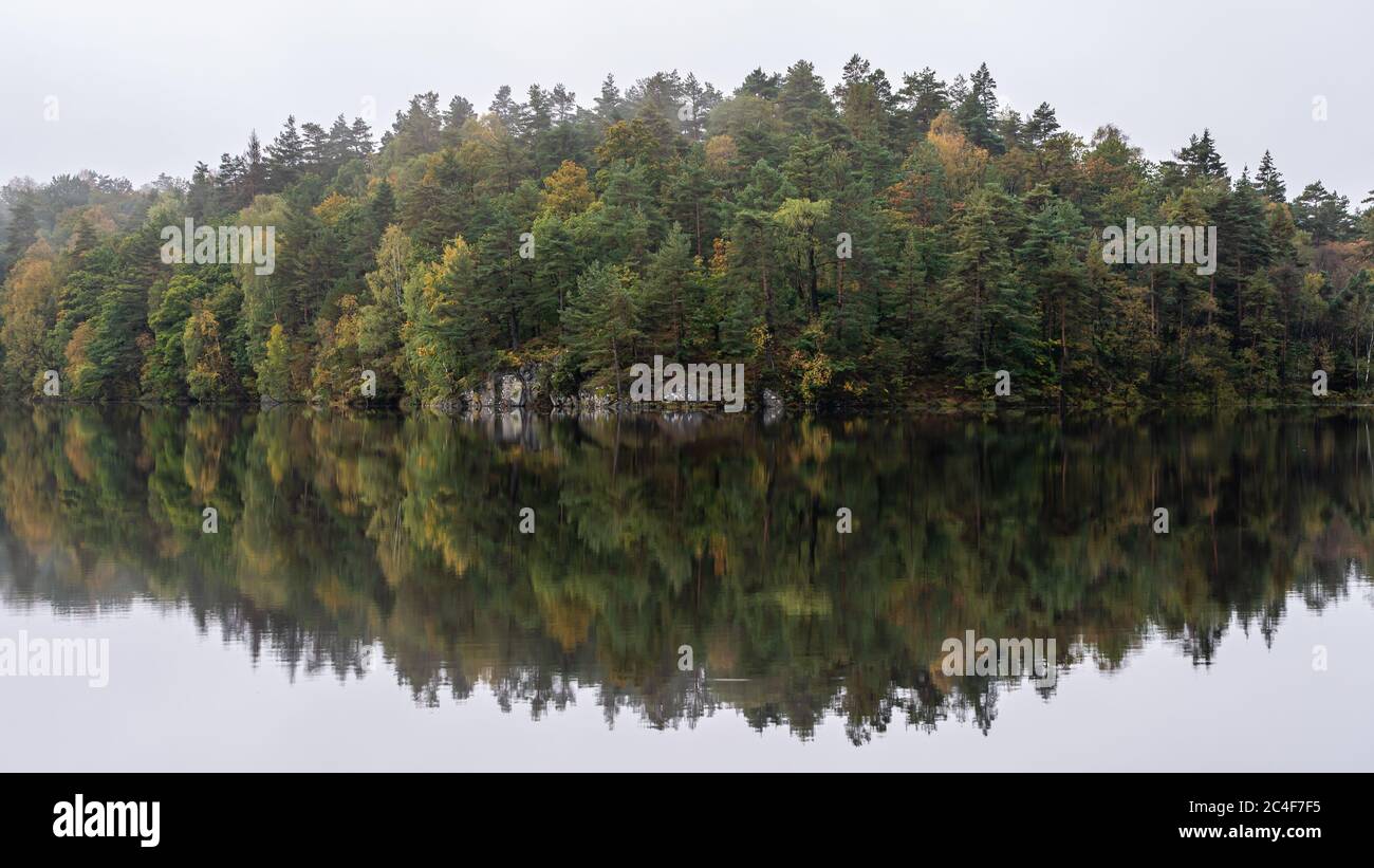 Amazing shot of a reflective lake surface on trees background Stock ...