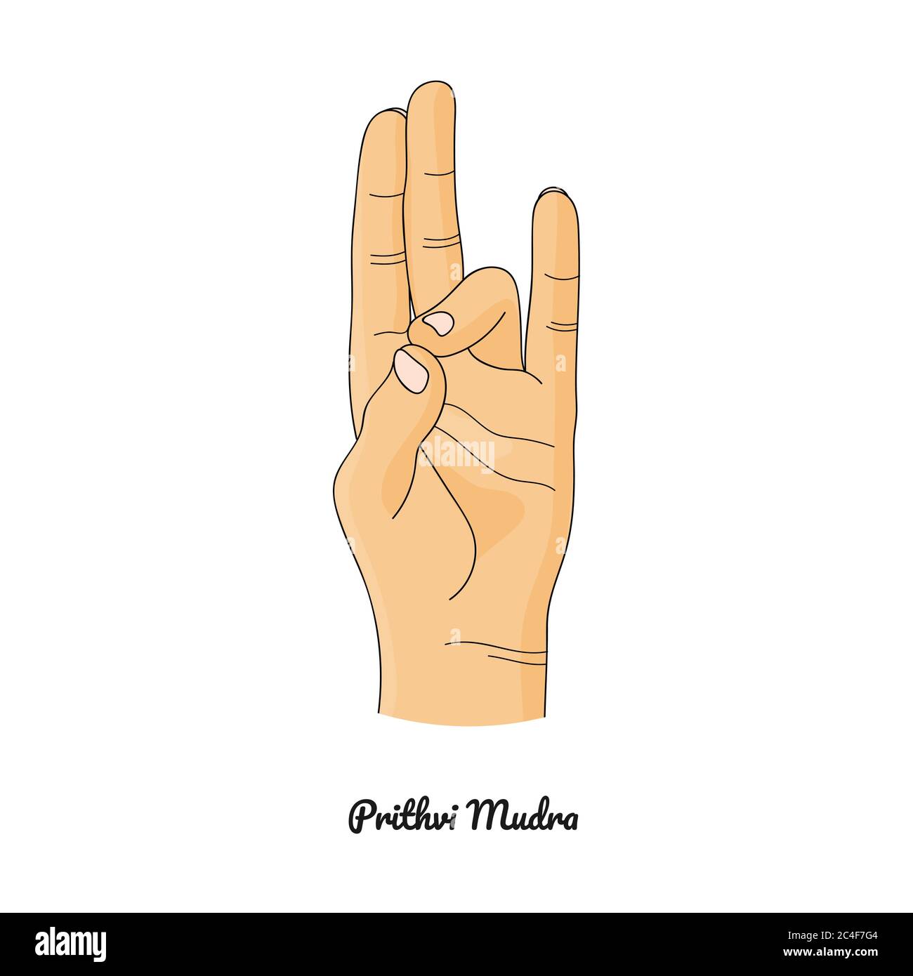 Prithvi Mudra / Gesture of Earth. Vector Stock Vector Image & Art - Alamy