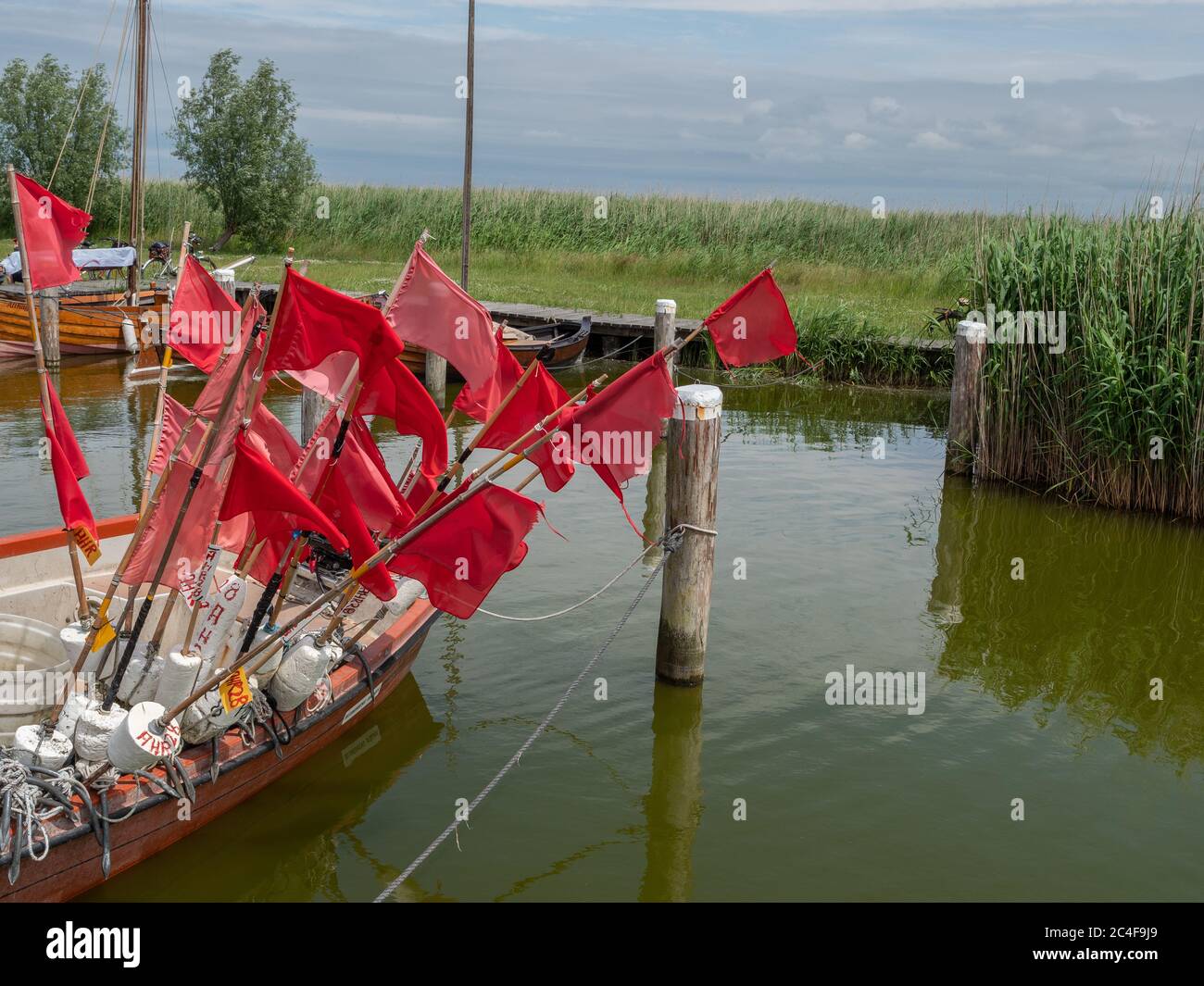 summer time at the Baltic sea in germany Stock Photo - Alamy